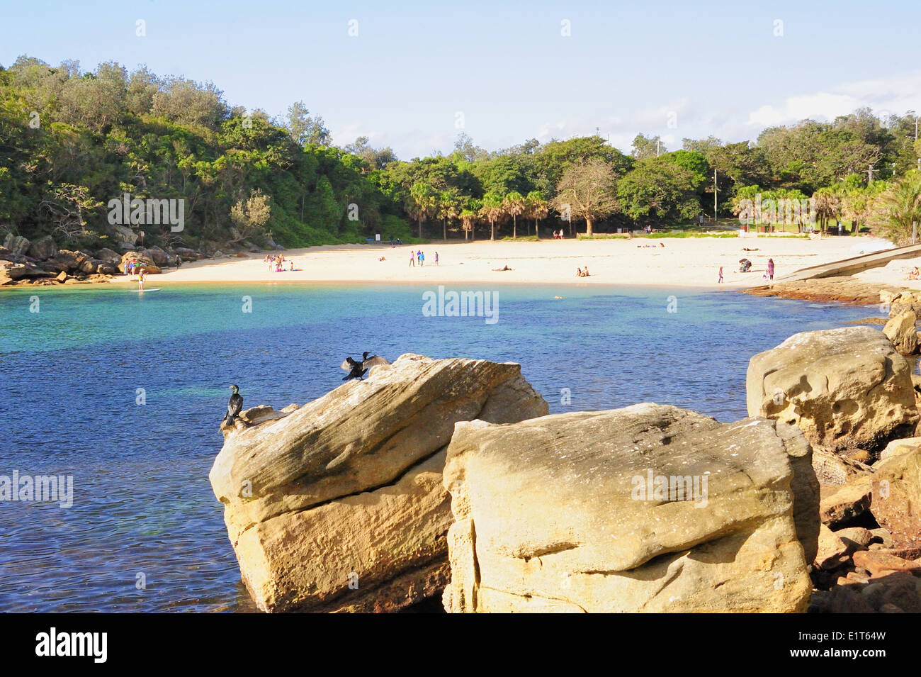 Shelly Beach with rocks Stock Photo - Alamy
