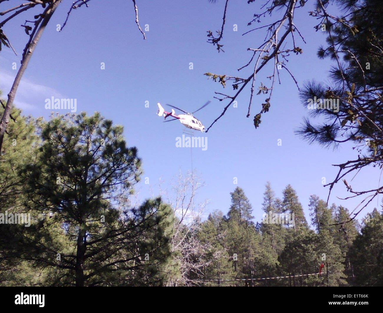 The Woods Canyon Fire in Apache-Sitgreaves National Forests was a ...