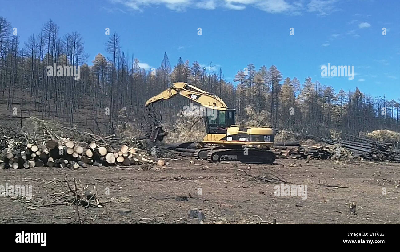 The photo captures an important moment in forest service history ...