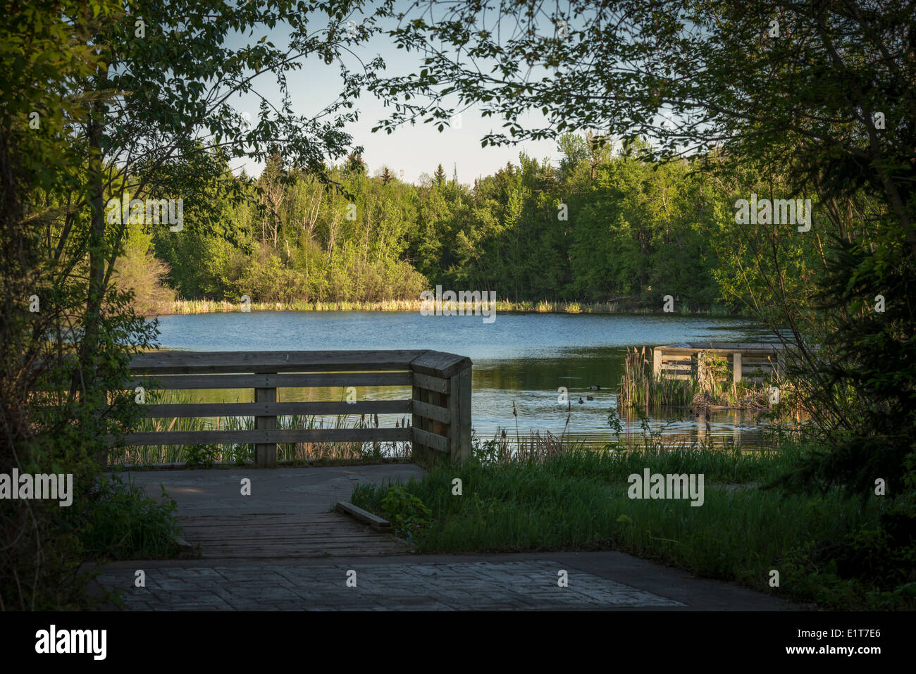 A view of the pond Stock Photo - Alamy
