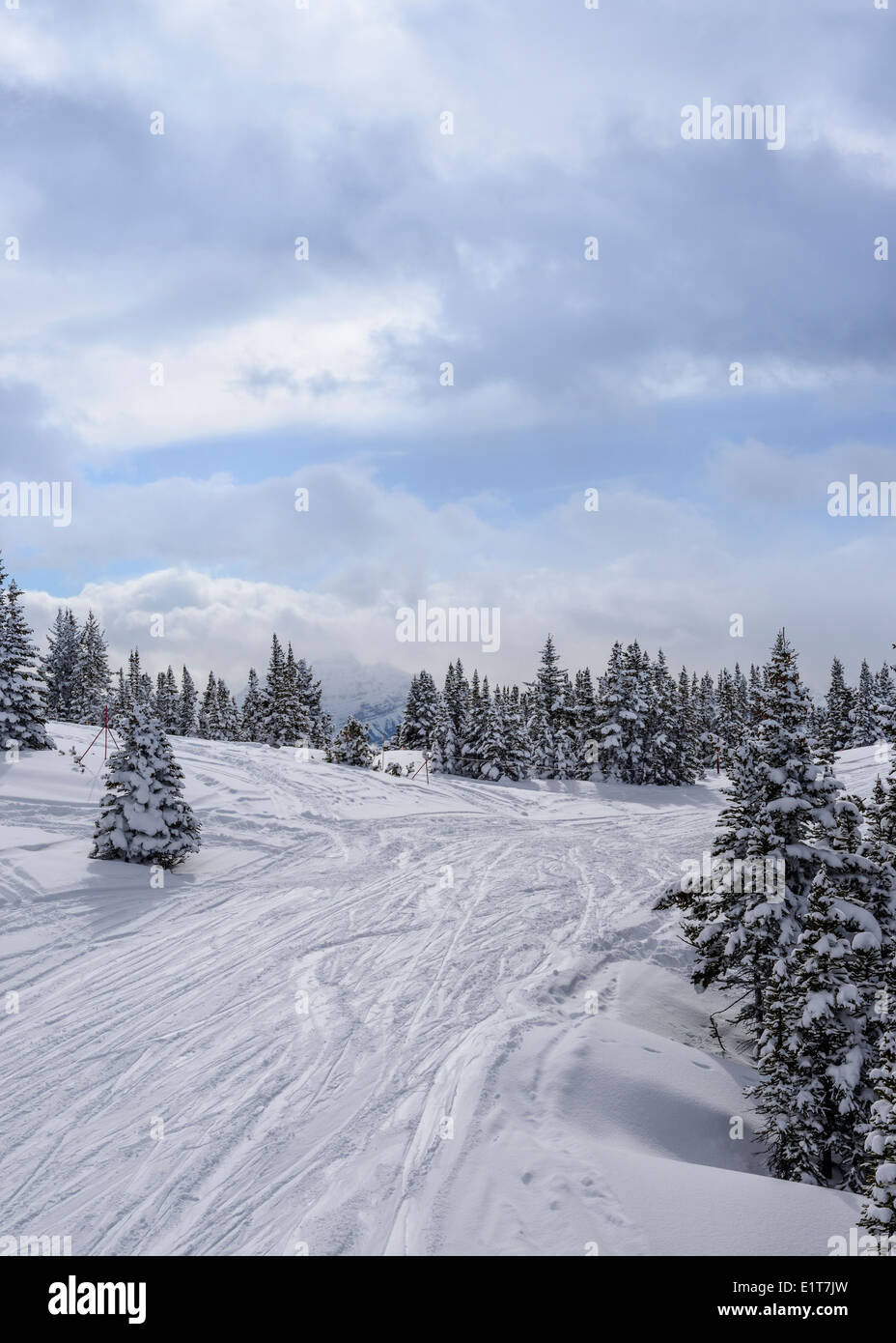 Marmot basin hi-res stock photography and images - Alamy
