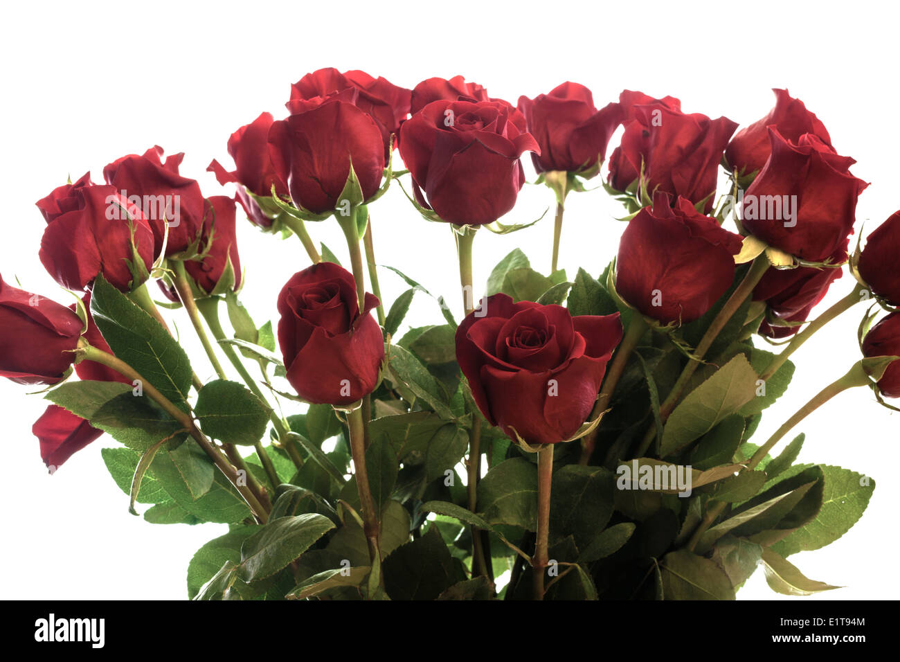 A bouquet of red roses Stock Photo - Alamy