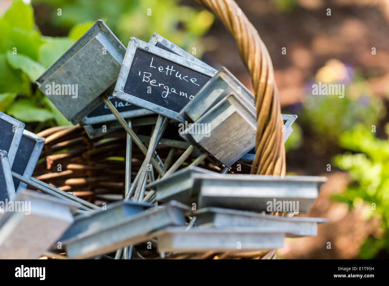 Garden tags in the basket ready to mark plants Stock Photo - Alamy