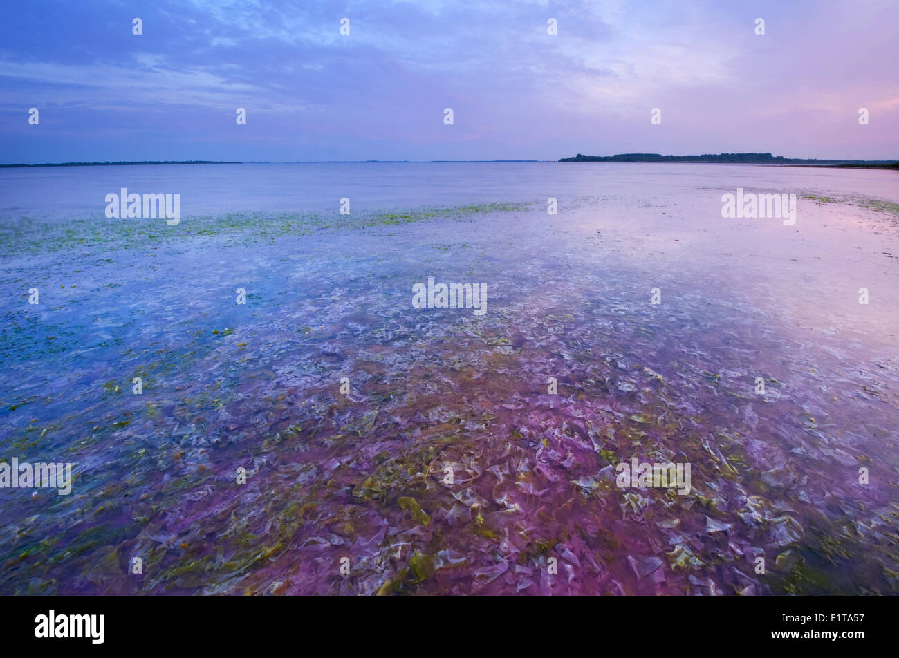 The Grevelingen lake at sunset looking towards the Hompelvoet island ...