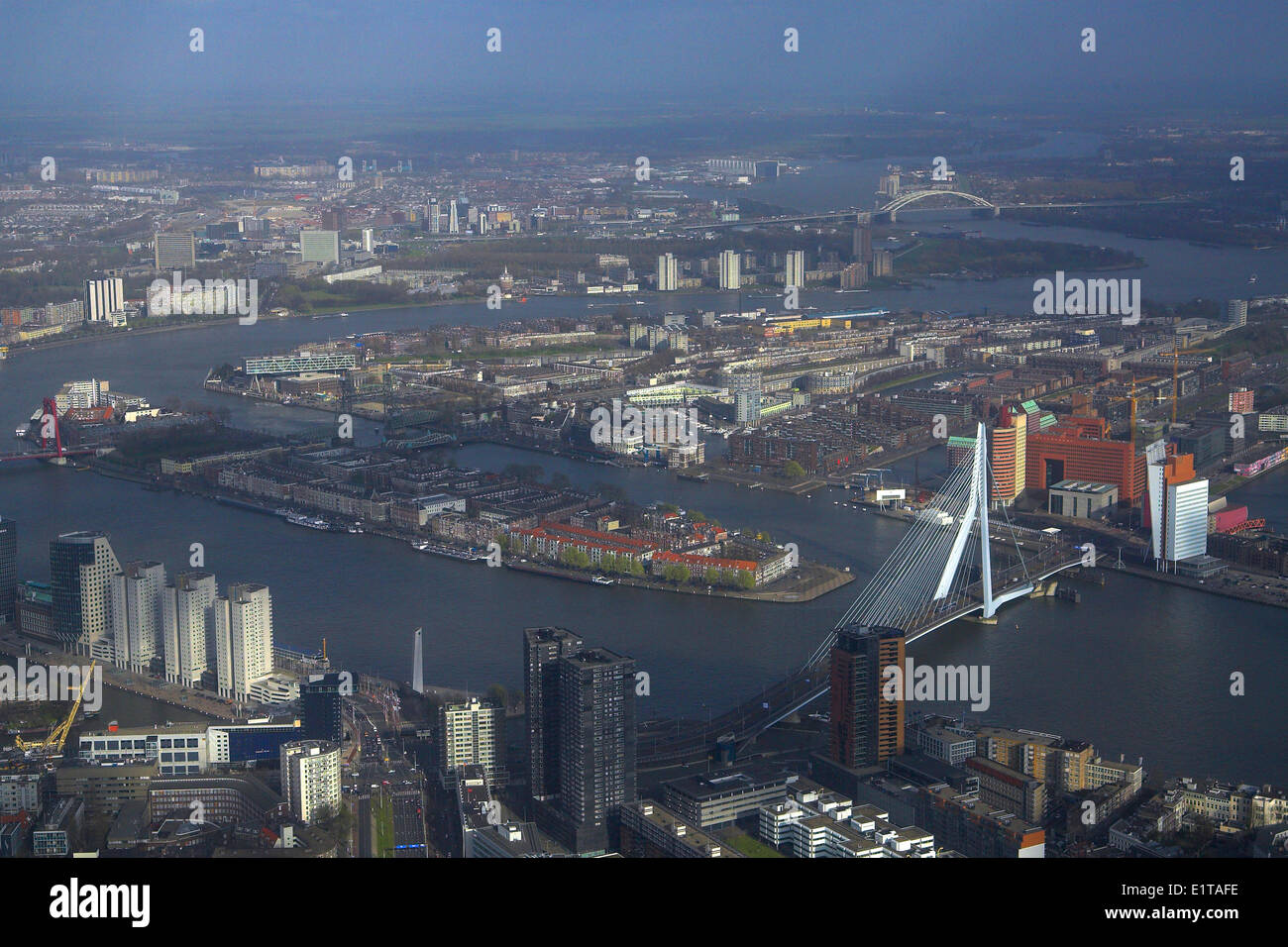 Aerial of the city Rotterdam, and the river Meuse Stock Photo - Alamy