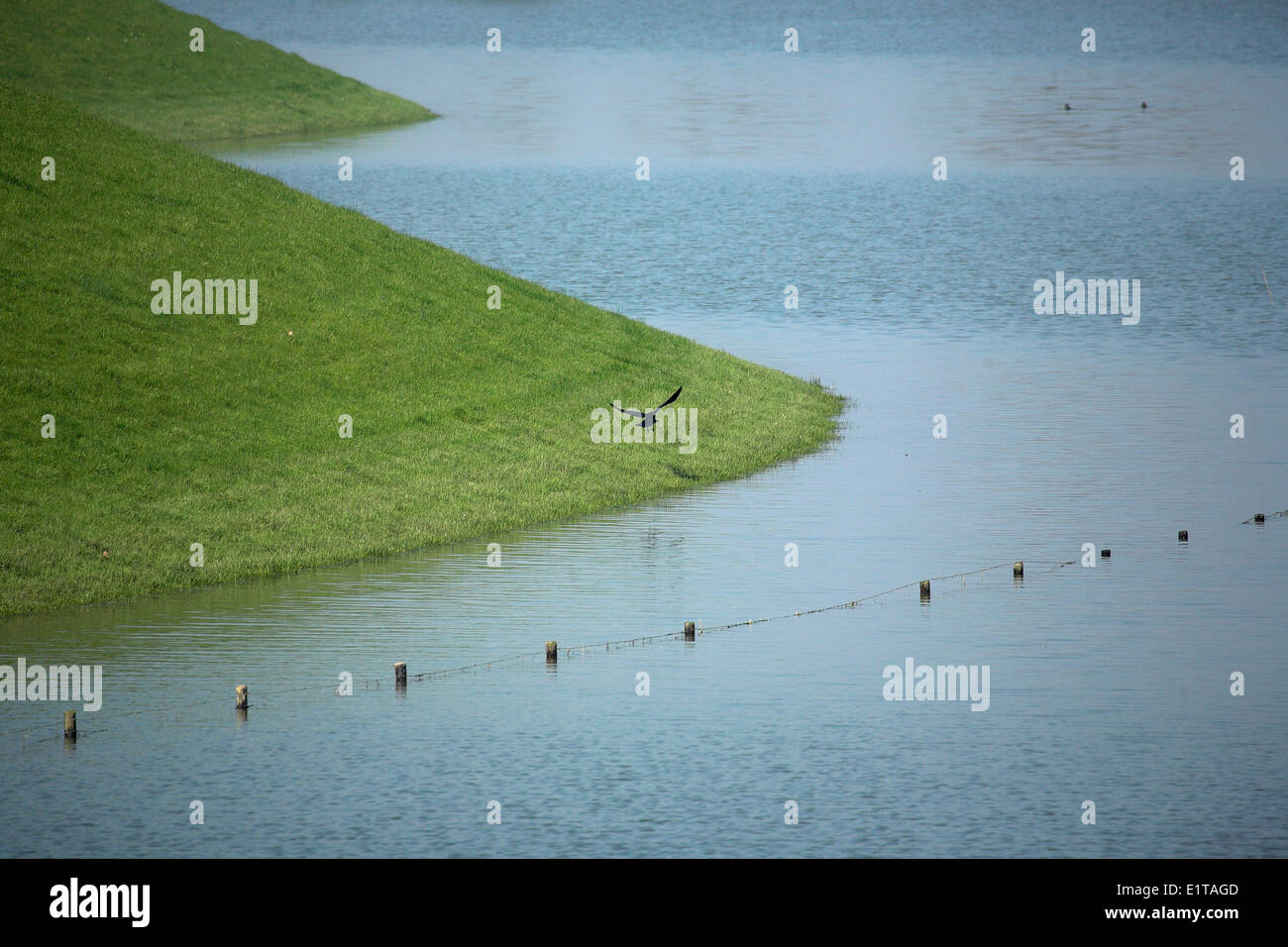 The Waal river with high water Stock Photo - Alamy
