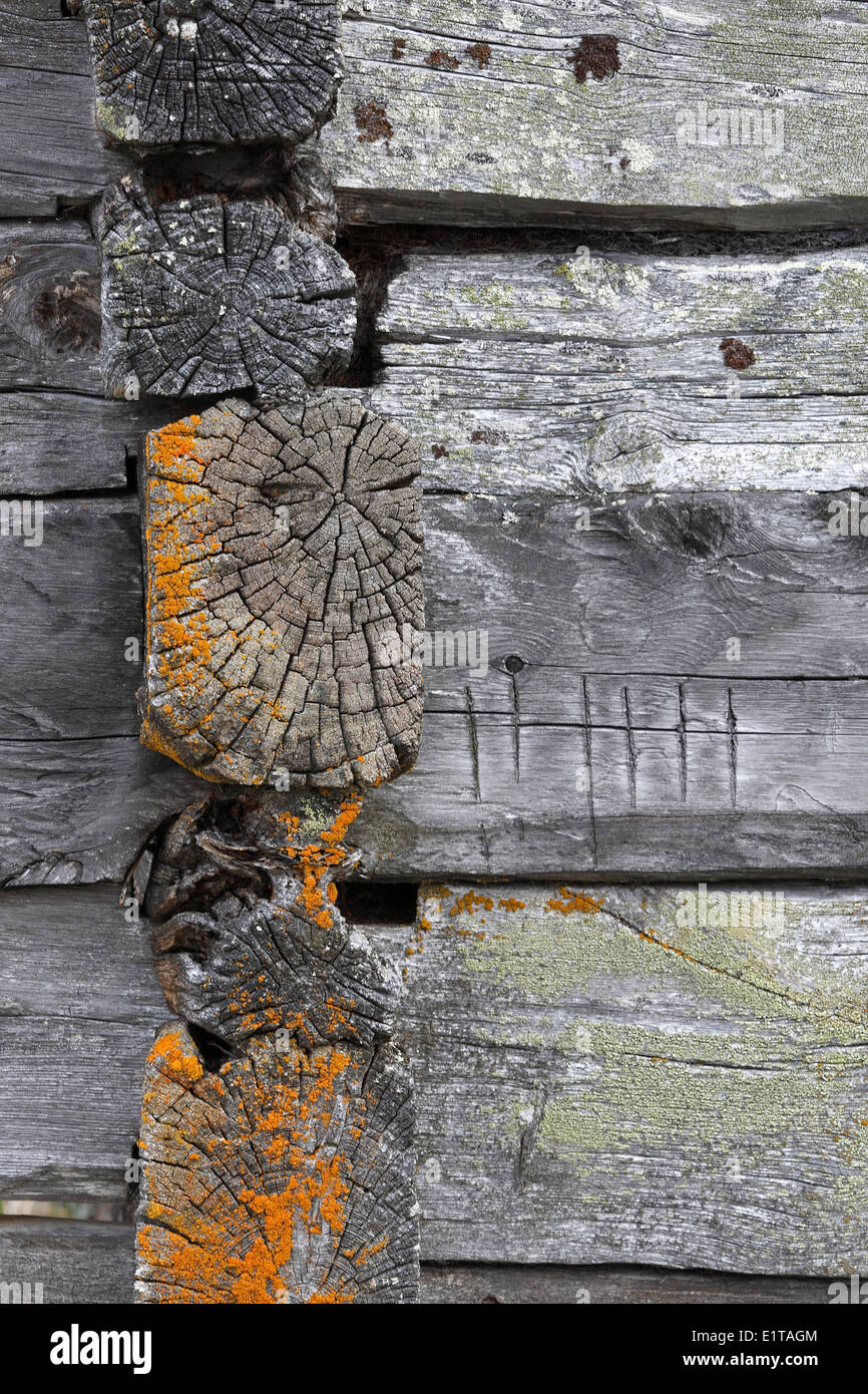 Saami house, Lapland, Finland, Scandinavia Stock Photo - Alamy