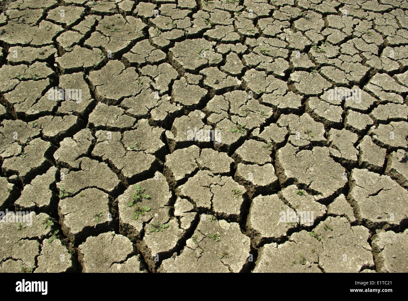 Dried out soil Stock Photo - Alamy