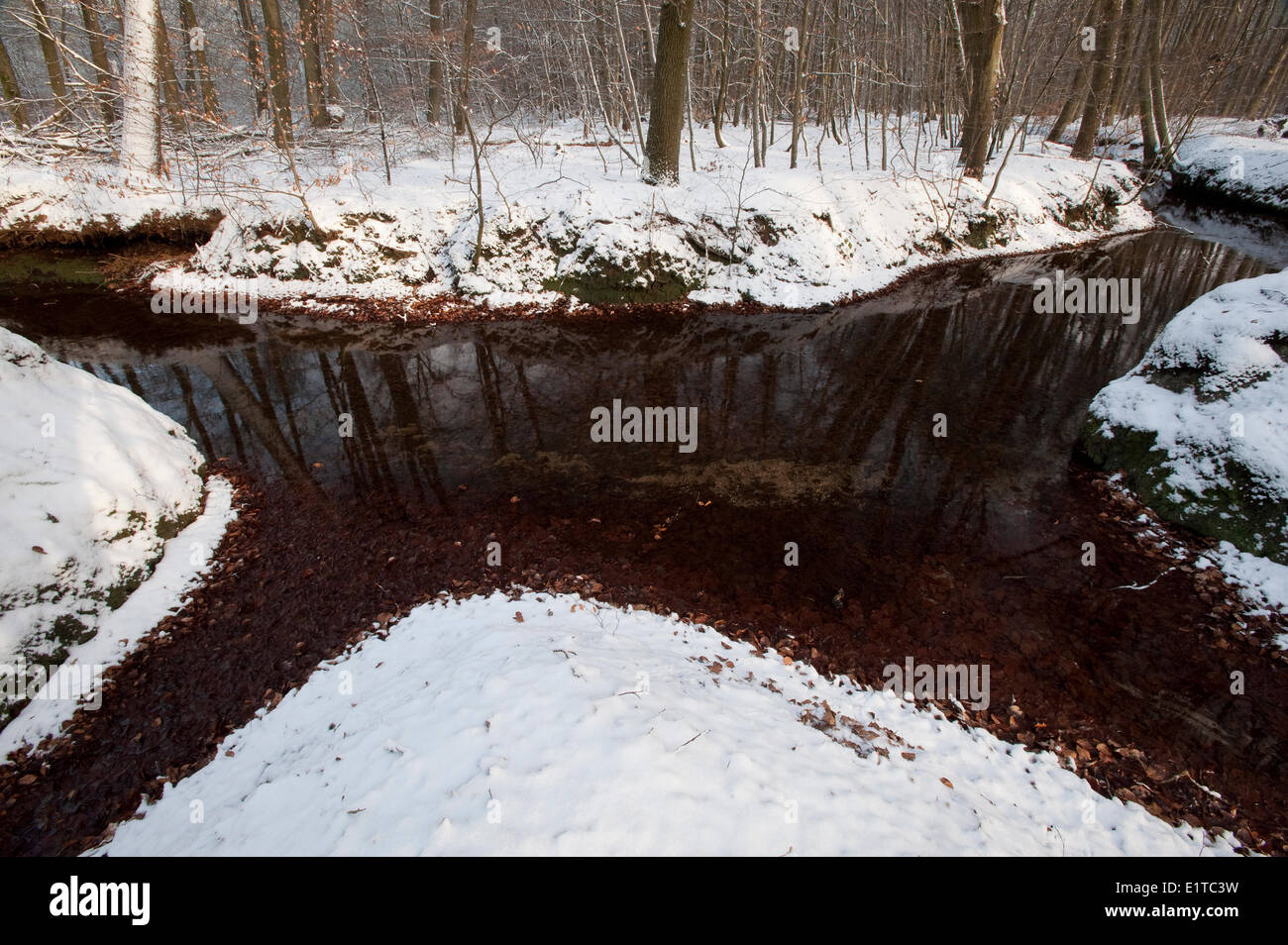 watercourse with rust colored water in snow in forest Stock Photo - Alamy