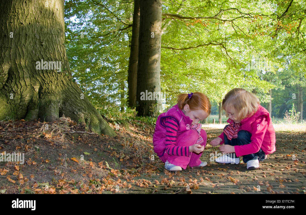 Children playing with nuts hi-res stock photography and images - Alamy