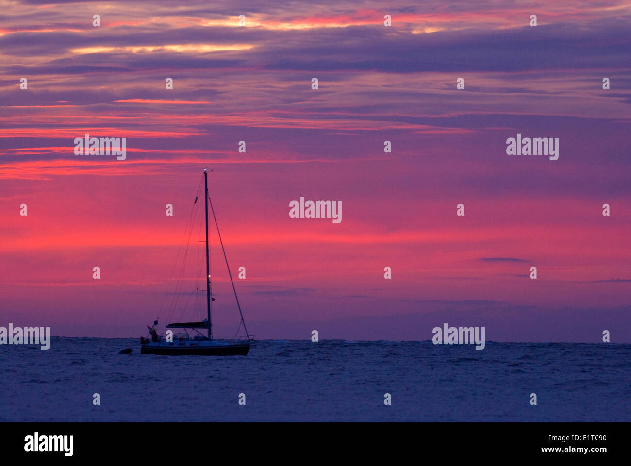 Purple ship hi-res stock photography and images - Alamy