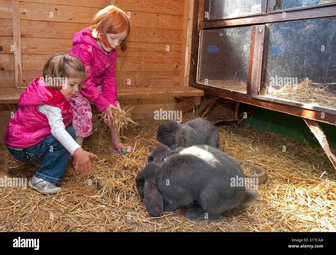 children playing at children's farm Stock Photo - Alamy