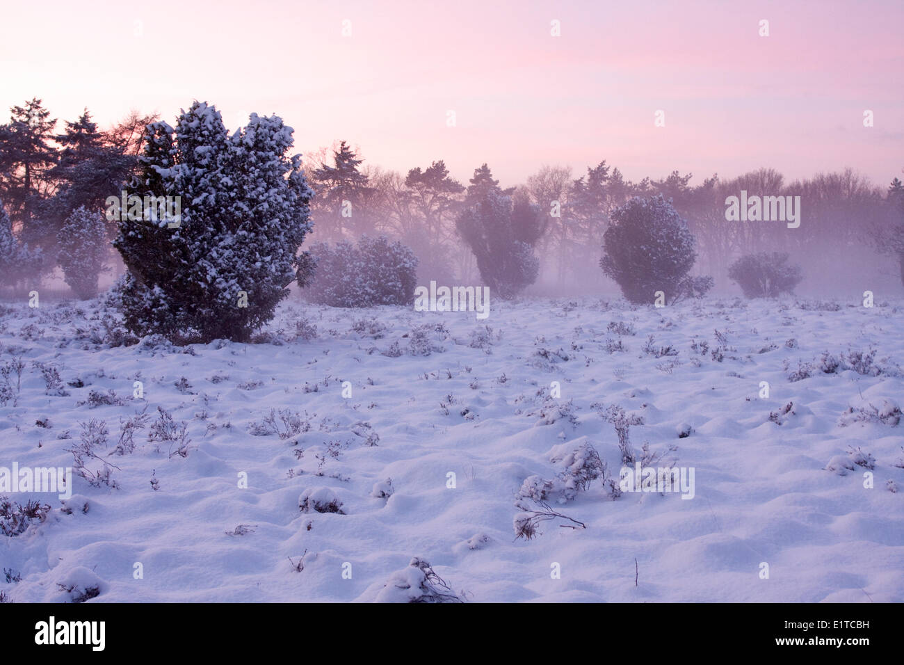 Winter veld hi-res stock photography and images - Alamy