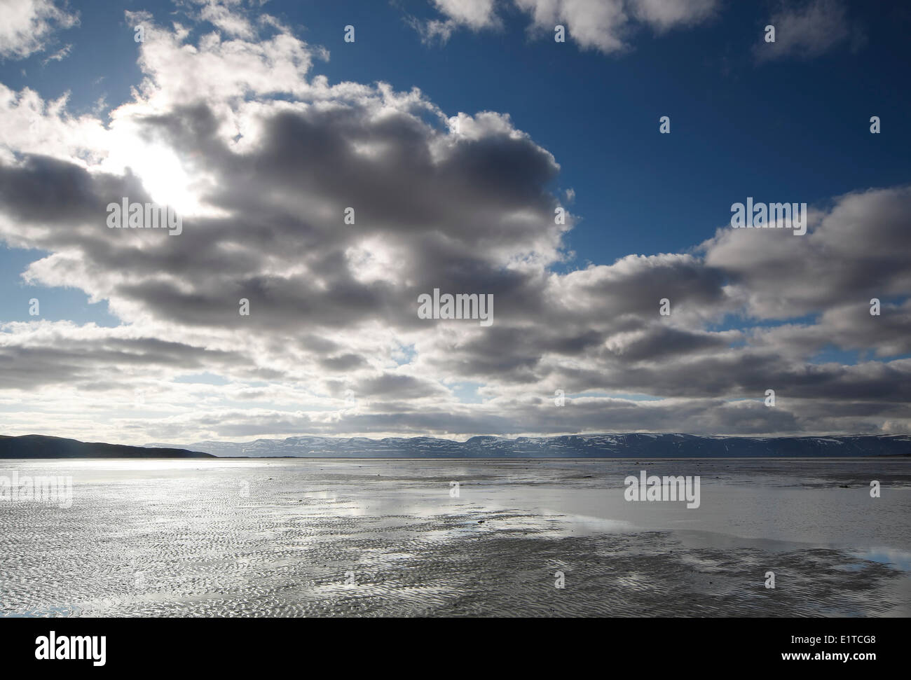 River mouth along river Tana, Norway, Scandinavie Stock Photo - Alamy