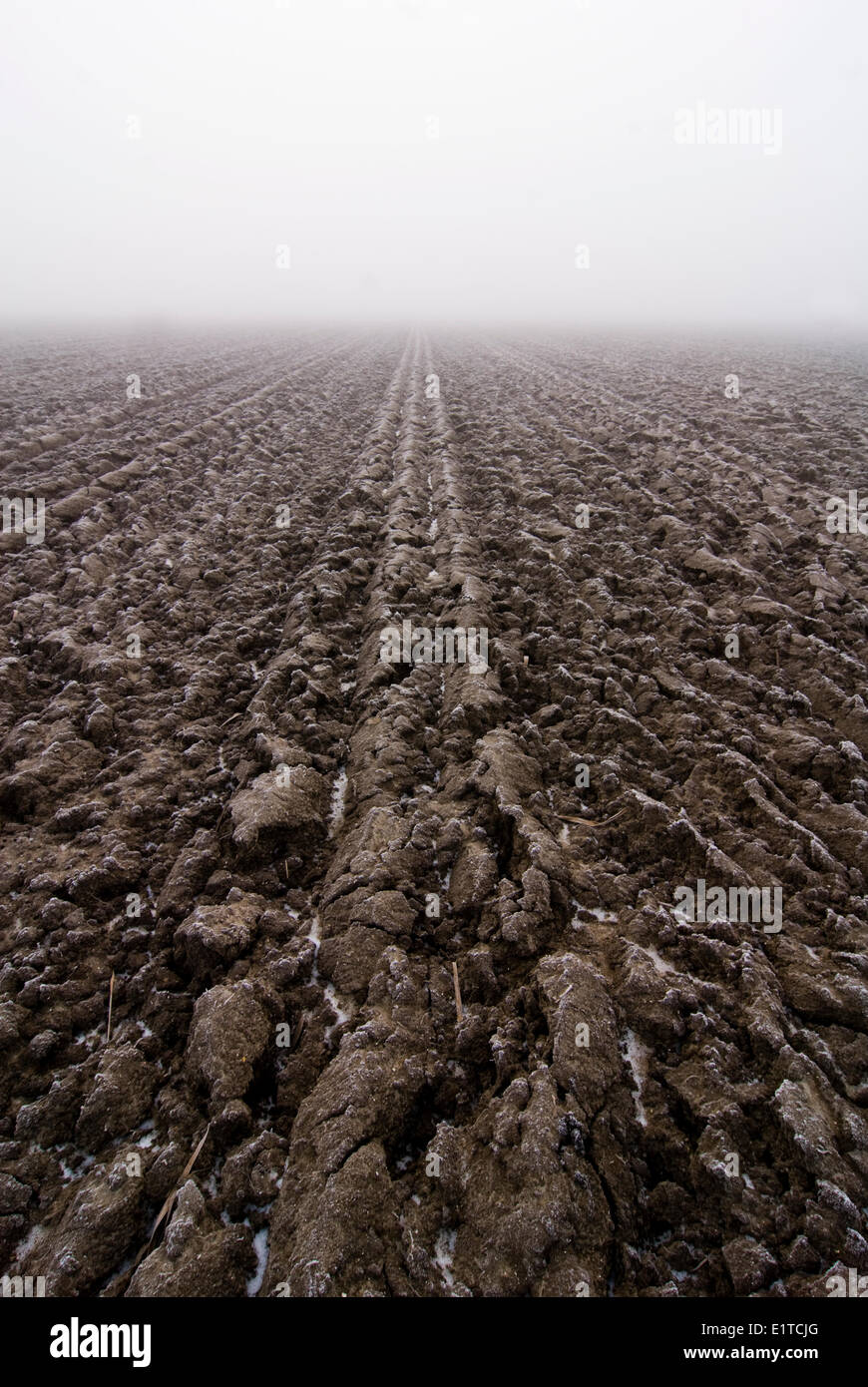 Agricultural field in winter Stock Photo - Alamy