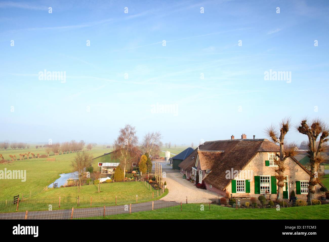 The river clay polder and farms at the land side of the dyke of the ...
