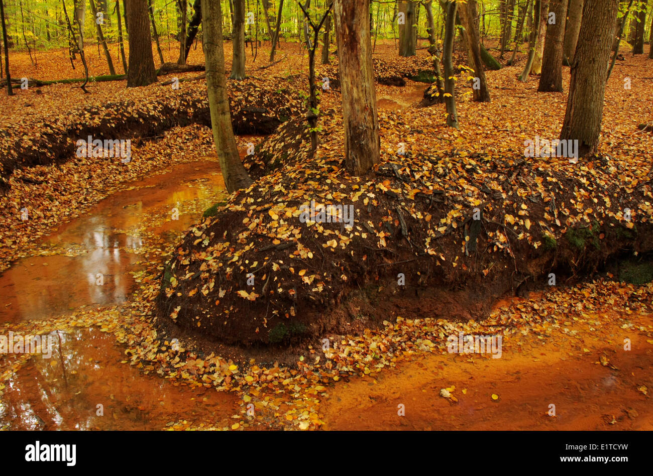 Curved board hi-res stock photography and images - Alamy