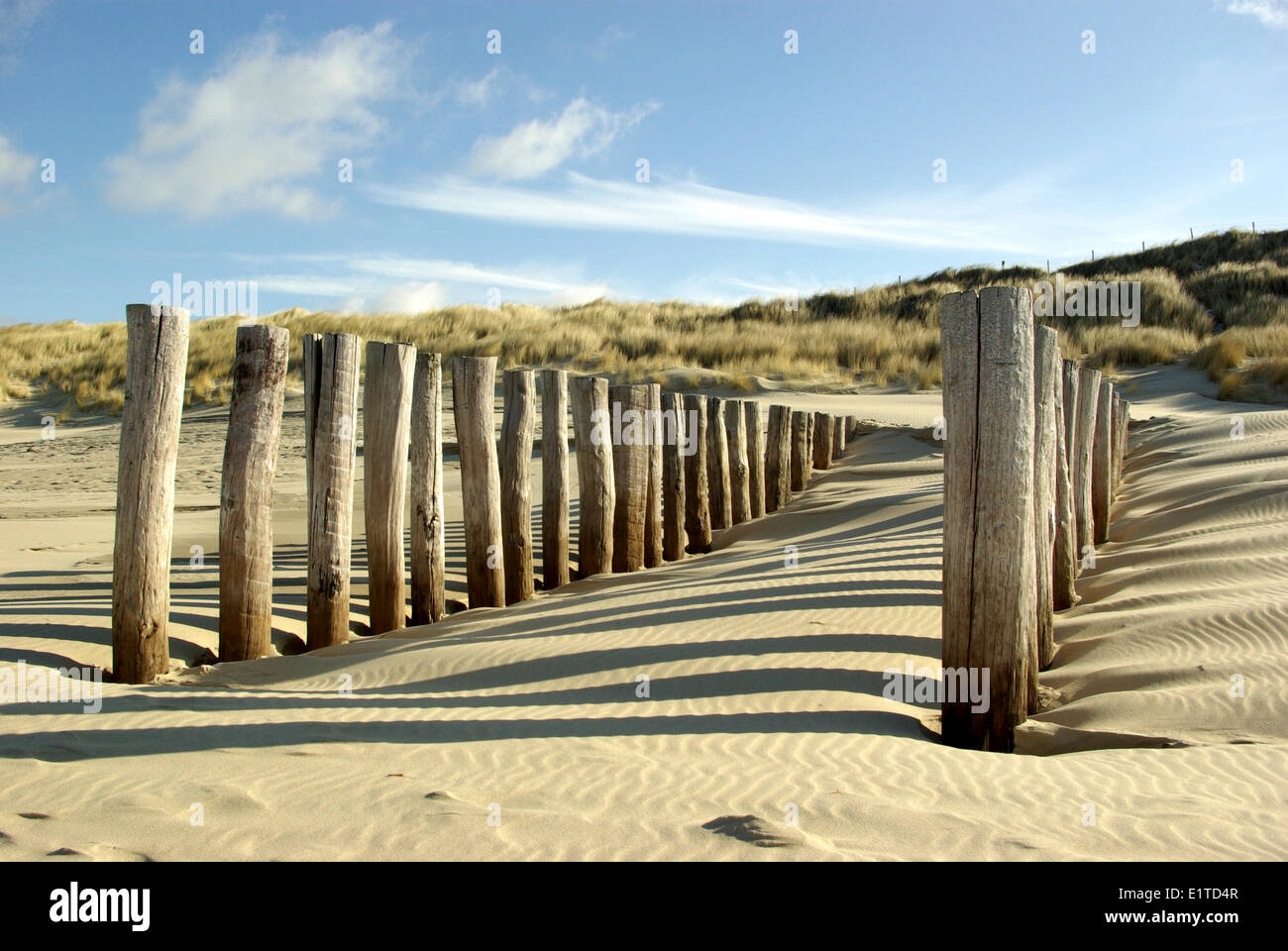 Wooden poles at the beach protect the beach Stock Photo - Alamy