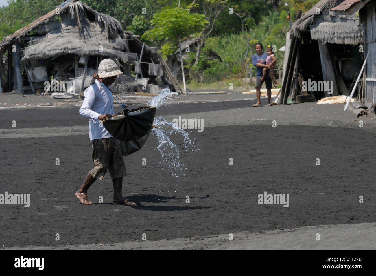man throwing sea water over a collecting field (sand field Stock Photo ...