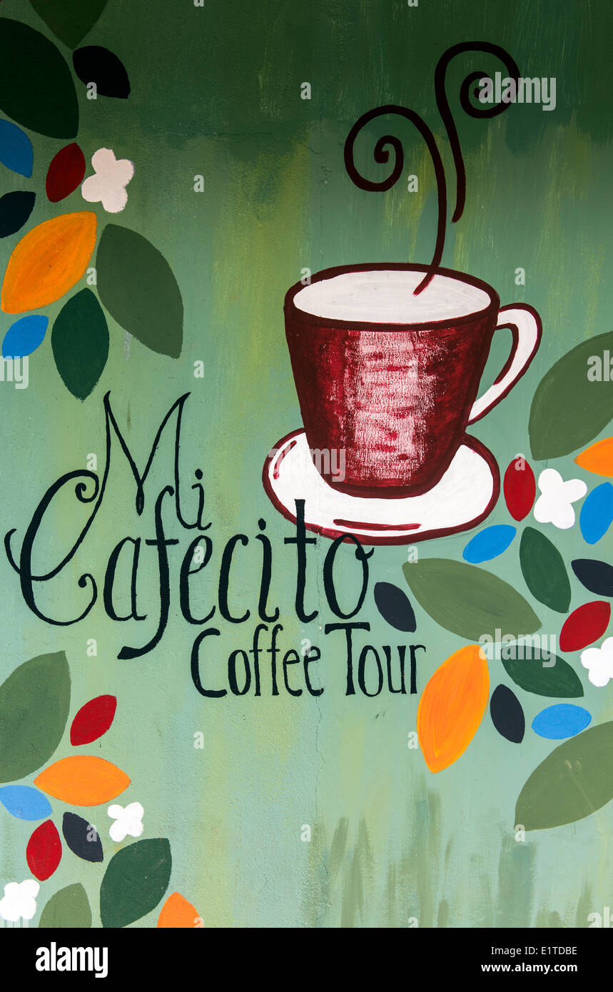 Coffee plantation Mi Cafecito coffee farm in San Miguel Costa Rica ...