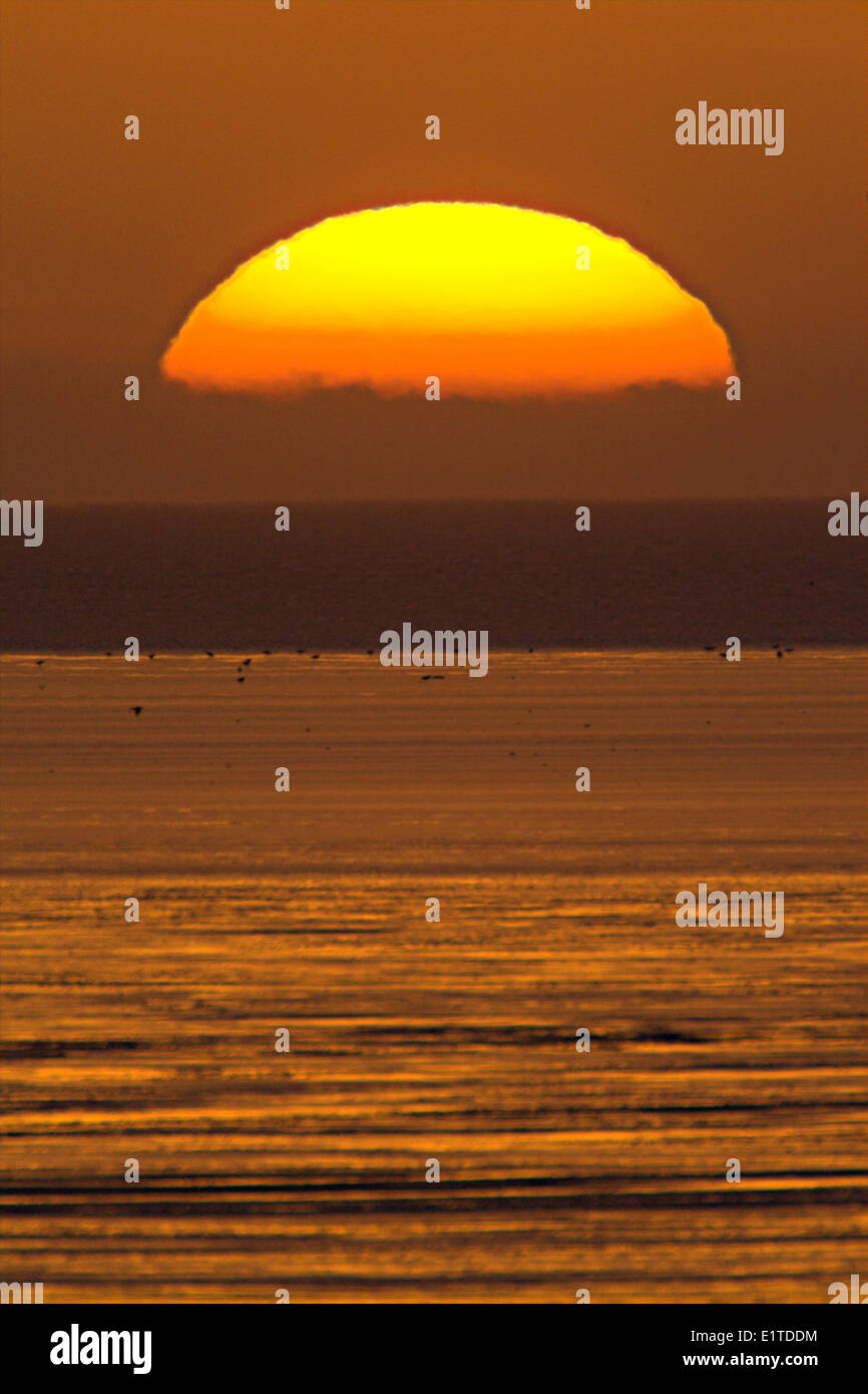 Dawn over tidal marsh hi-res stock photography and images - Alamy