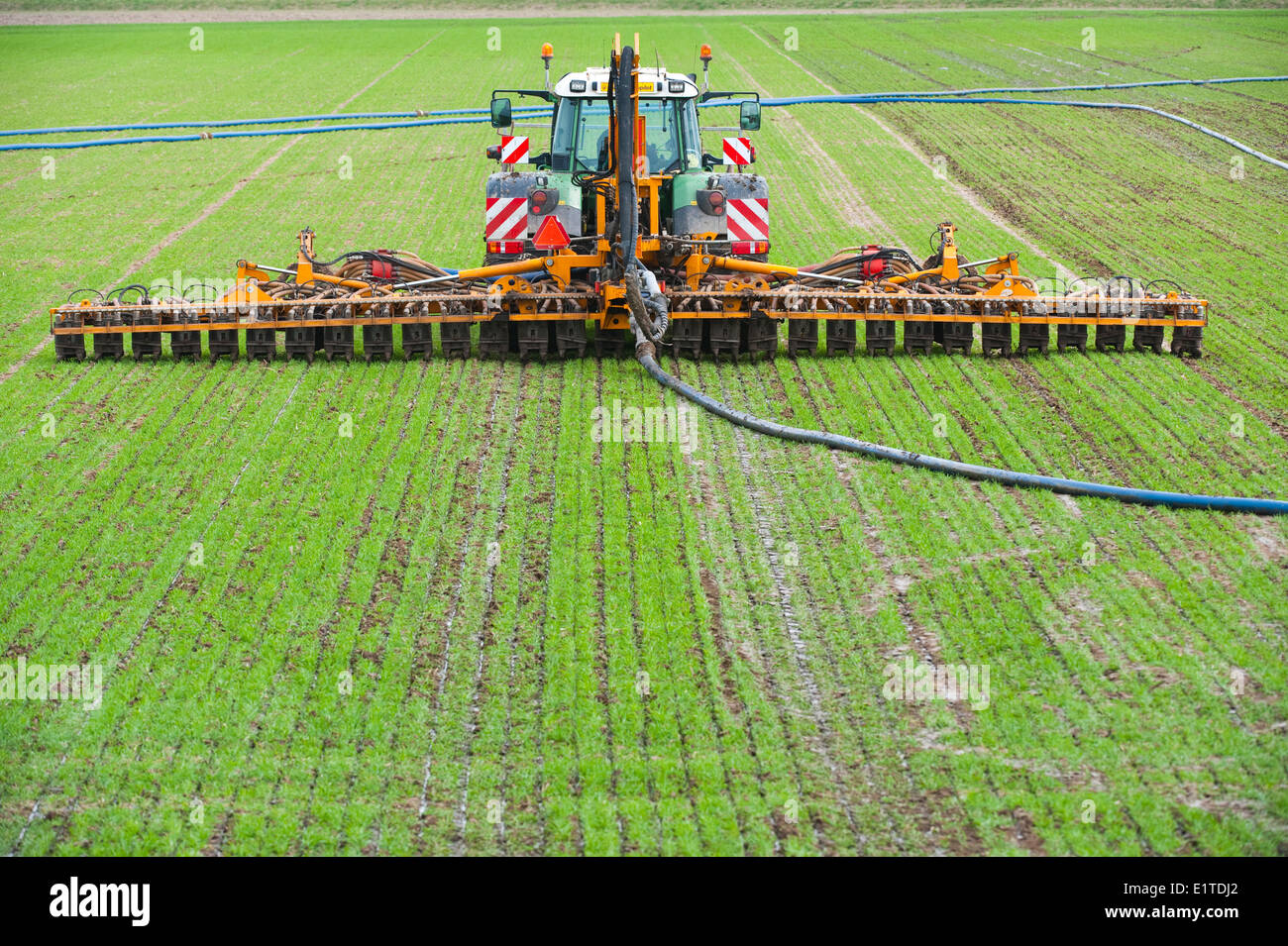 Pig manure hi-res stock photography and images - Alamy
