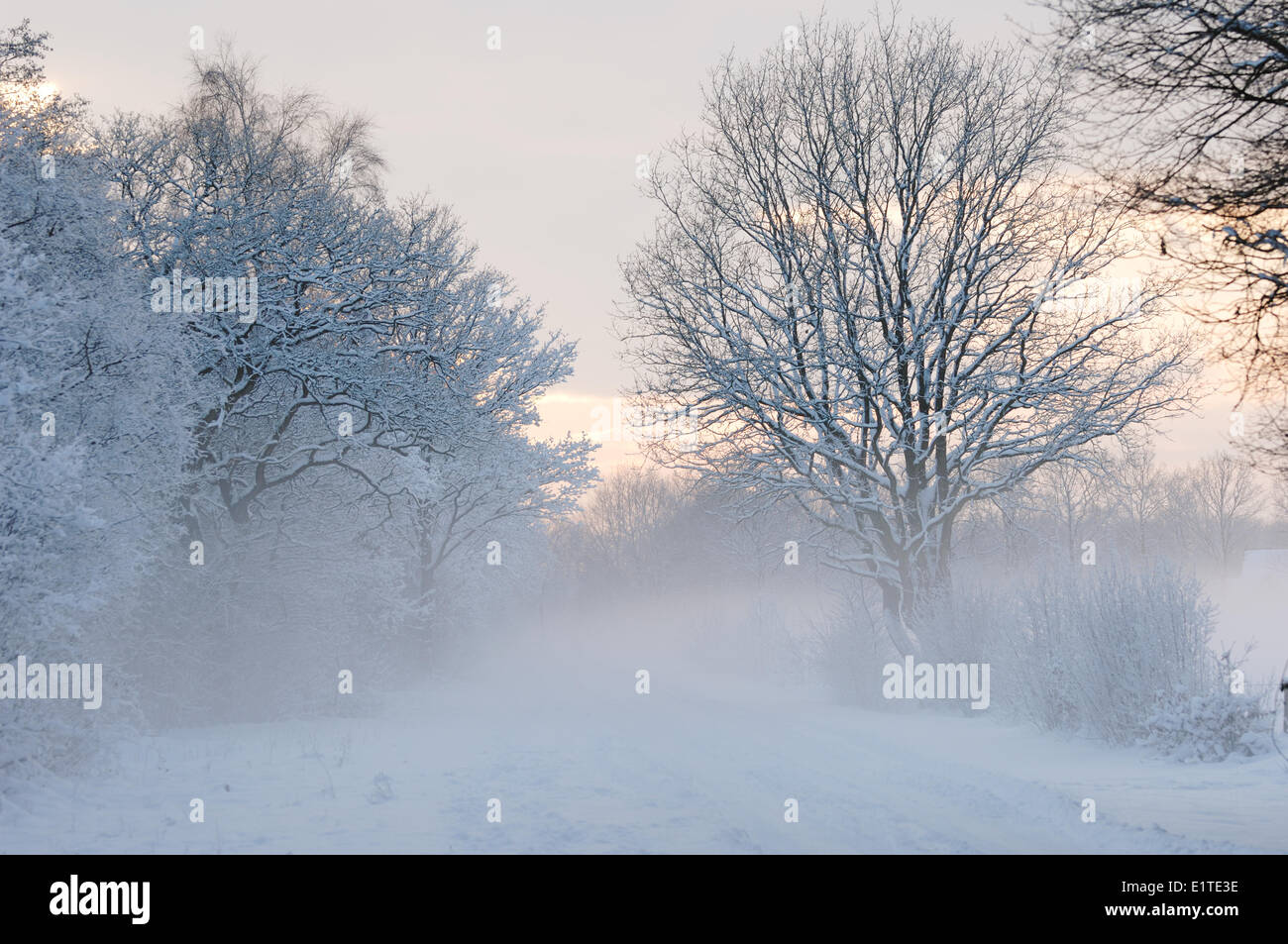 Wijnjeterperschar hi-res stock photography and images - Alamy