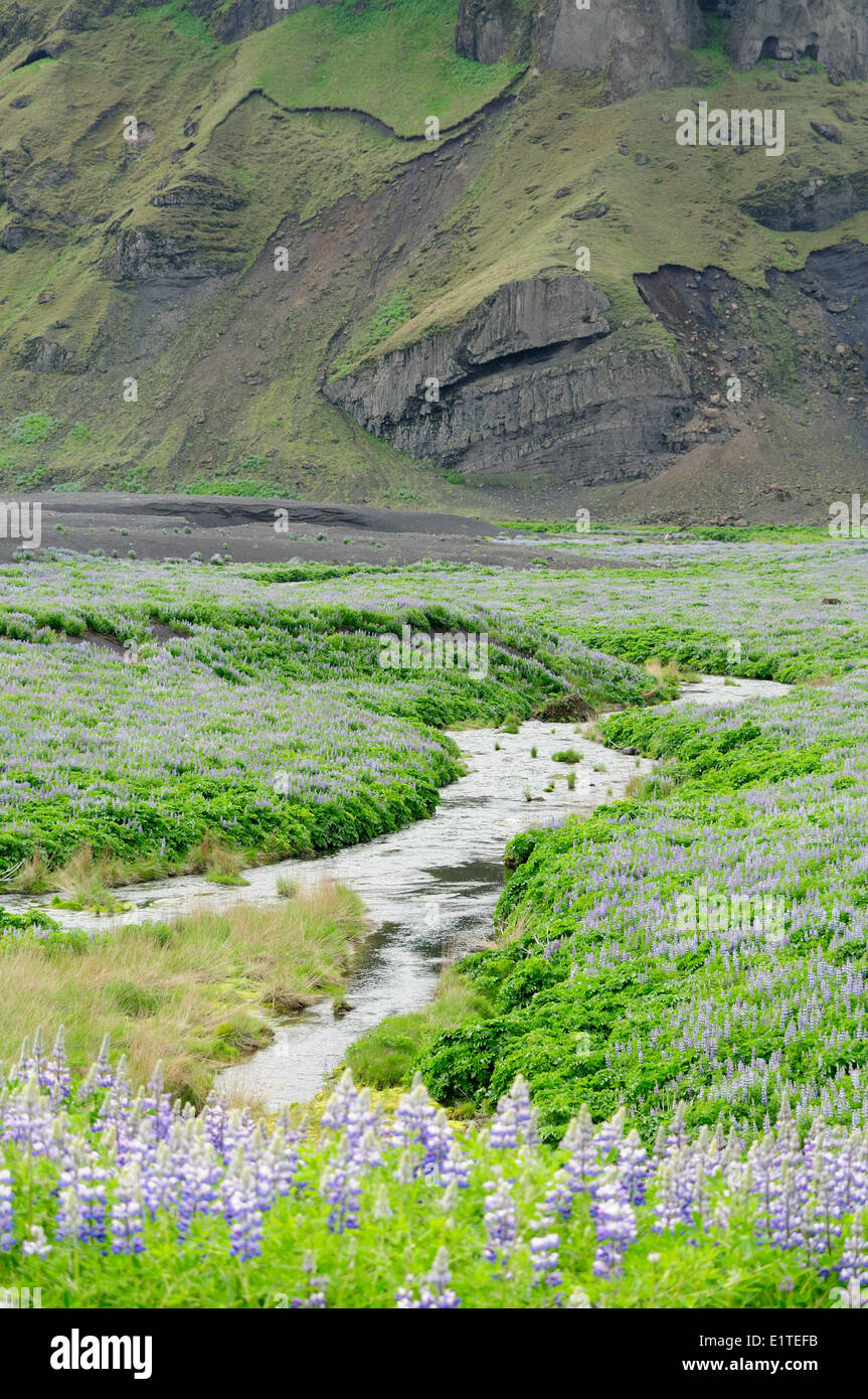 Floating through river hi-res stock photography and images - Alamy