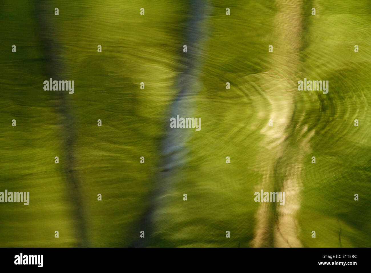 Circles in nature hi-res stock photography and images - Alamy