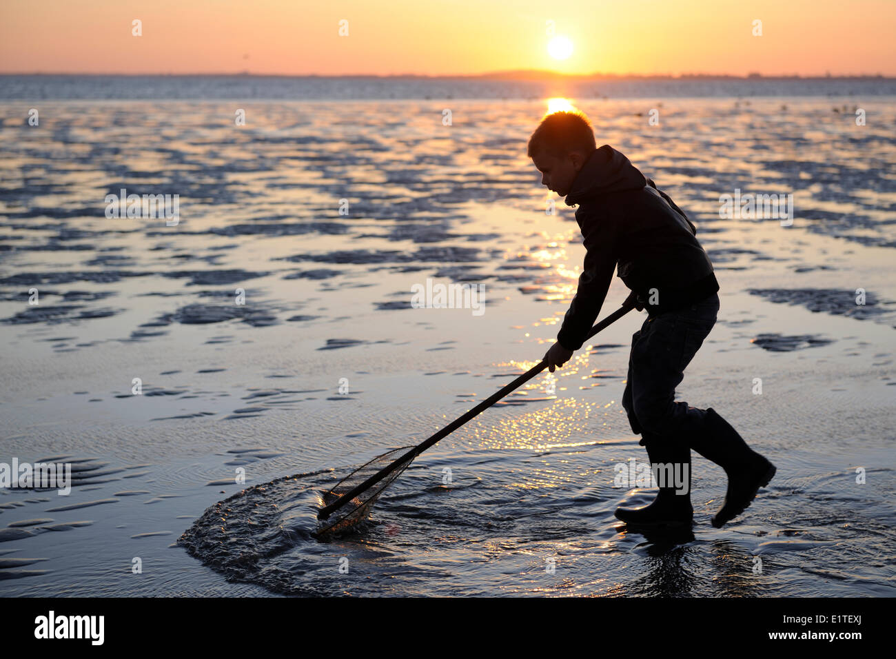 The shrimp model hi-res stock photography and images - Alamy