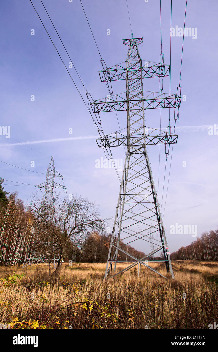 Tree in power cable hi-res stock photography and images - Alamy