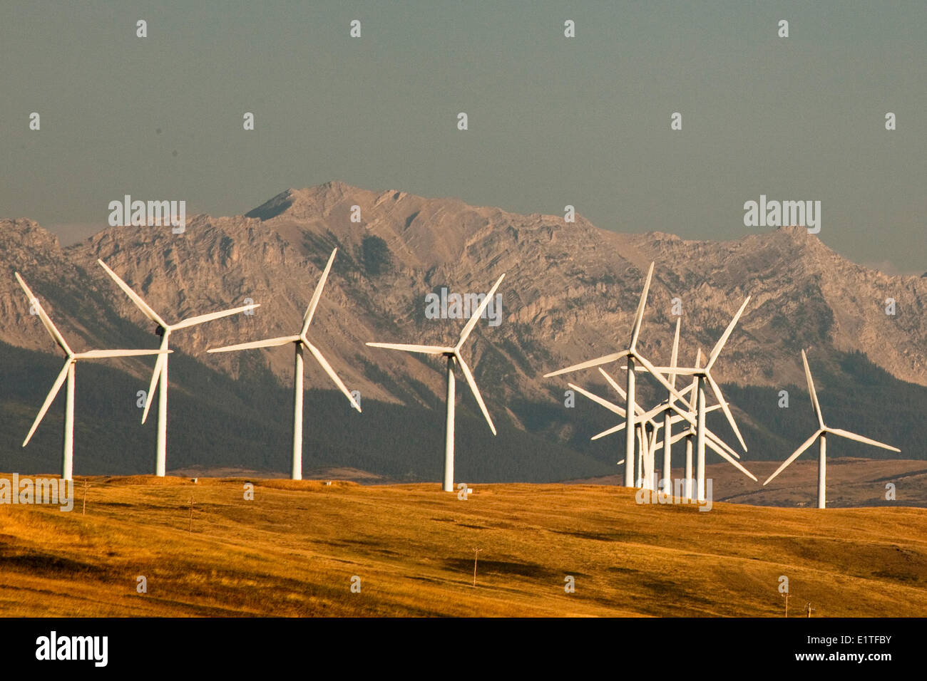 Power-generating windmills near Pincher Creek, Alberta, Canada Stock ...