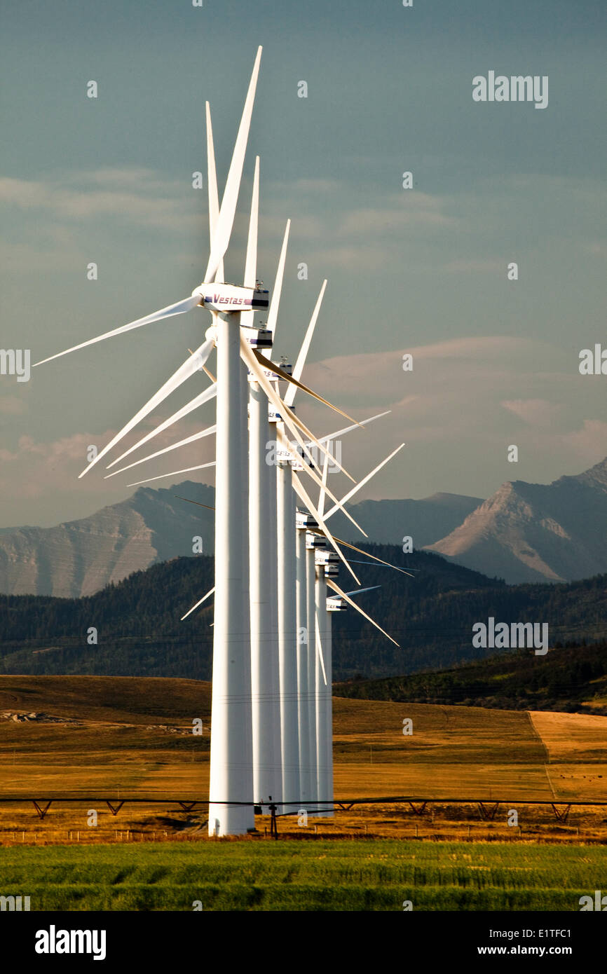Power-generating windmills near Pincher Creek, Alberta, Canada Stock ...