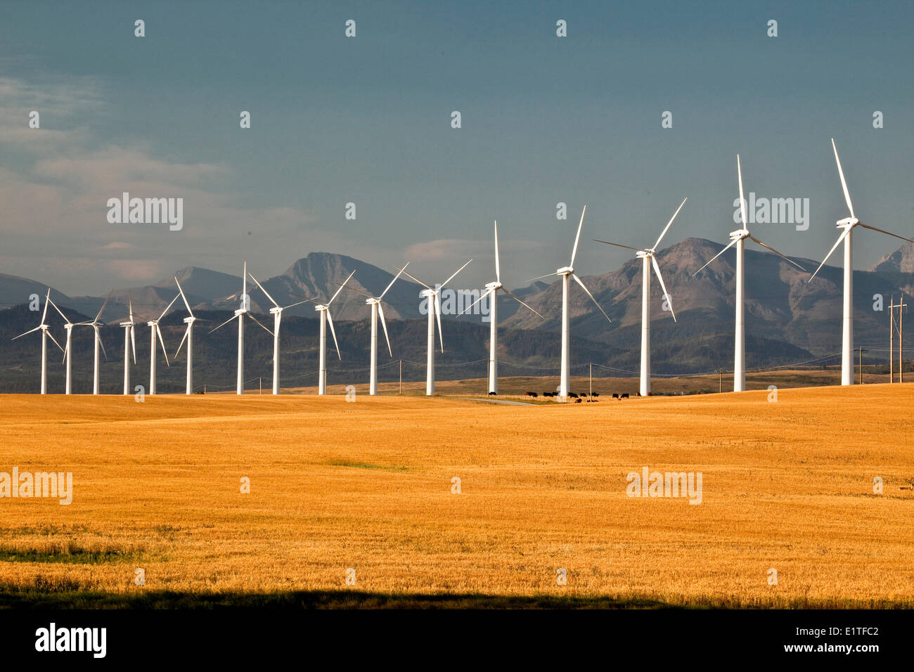 Power-generating windmills near Pincher Creek, Alberta, Canada Stock ...