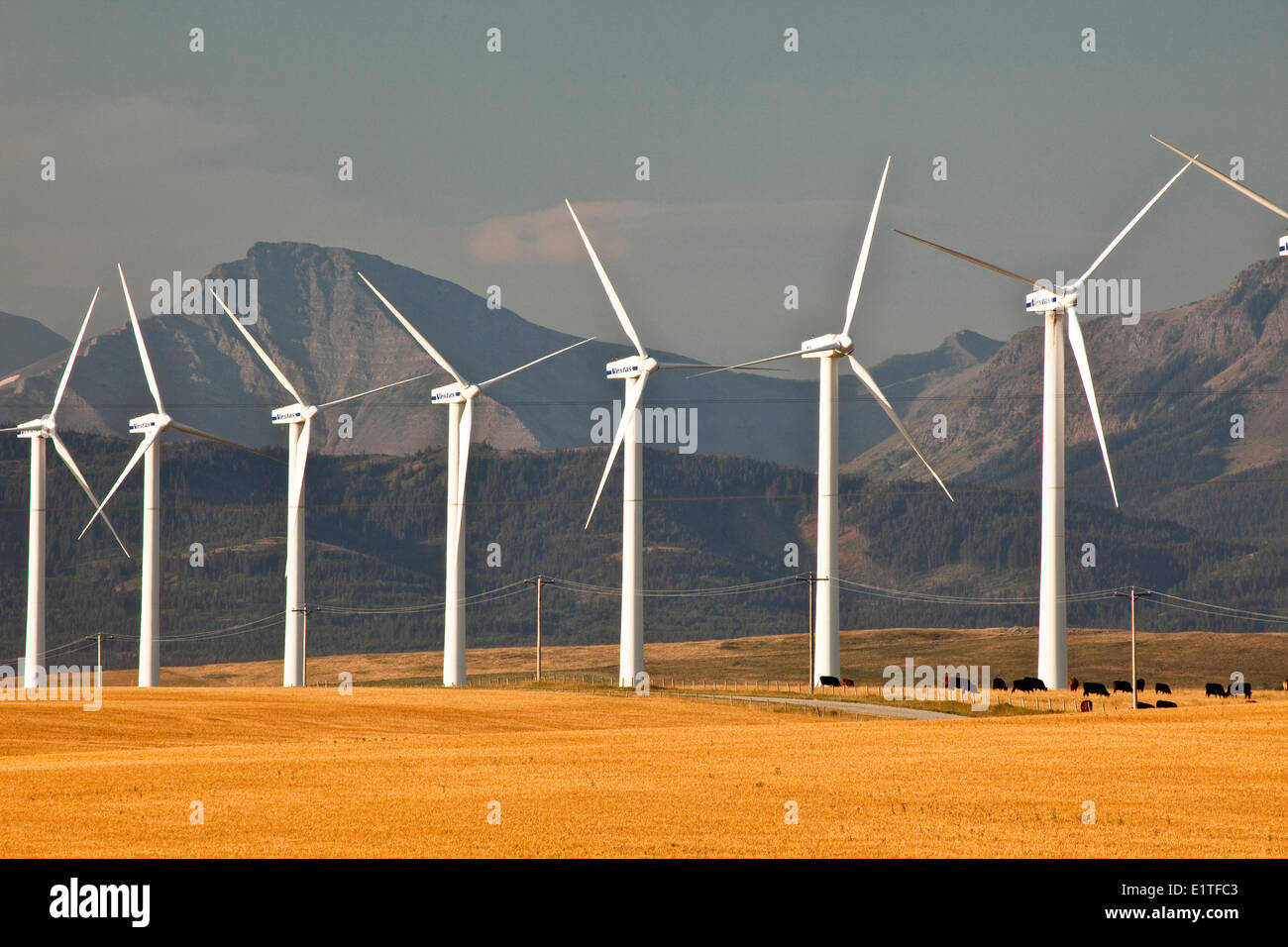 Wind turbines near pincher creek hi-res stock photography and images ...