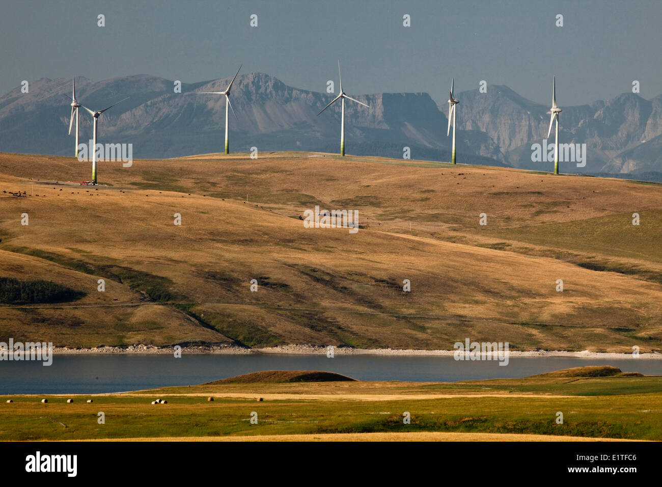 Wind turbines near pincher creek hi-res stock photography and images ...
