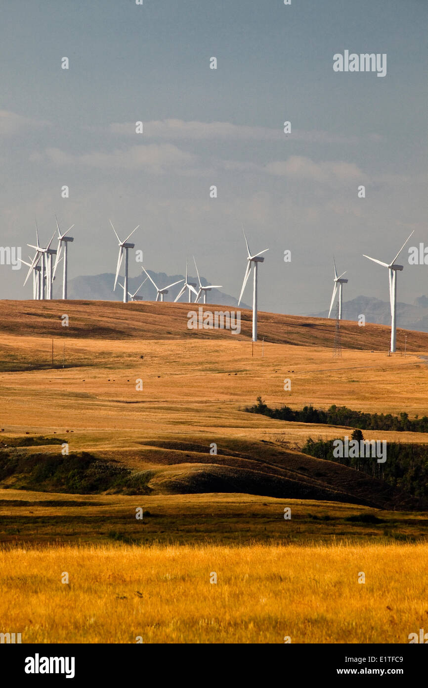 Power-generating windmills near Pincher Creek, Alberta, Canada Stock ...
