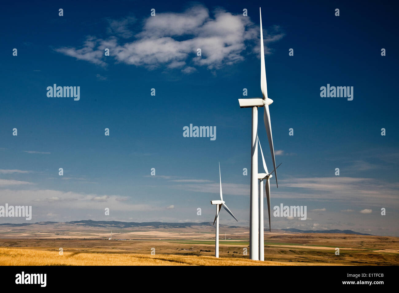 Wind turbines near pincher creek hi-res stock photography and images ...