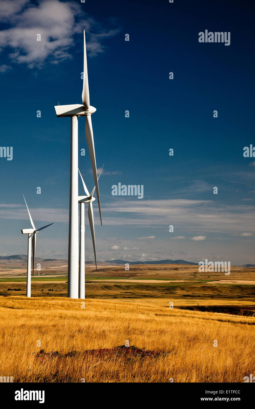 Power-generating windmills near Pincher Creek, Alberta, Canada Stock ...