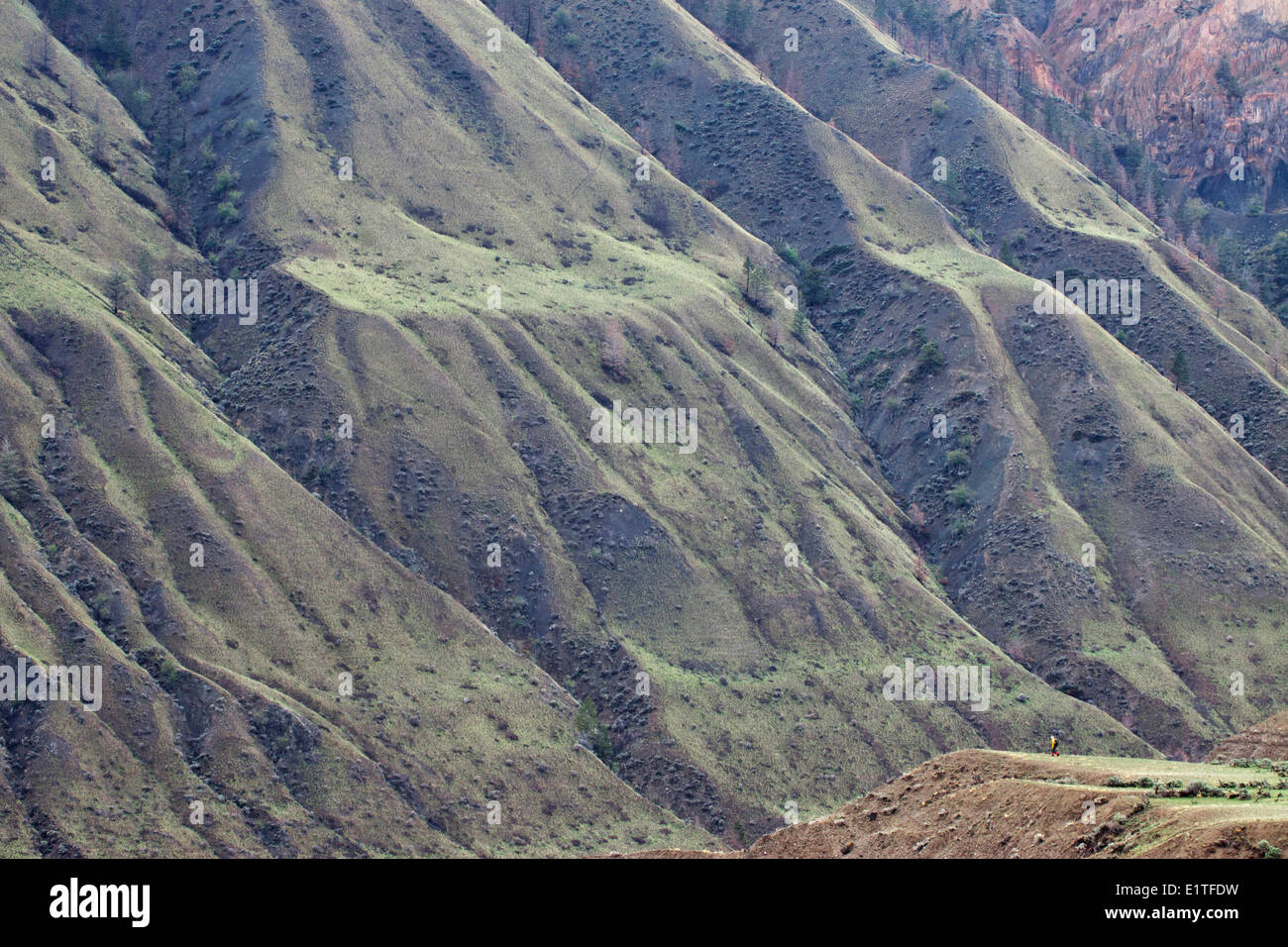 Hiking within BC landscape above the Fraser River canyon in British ...