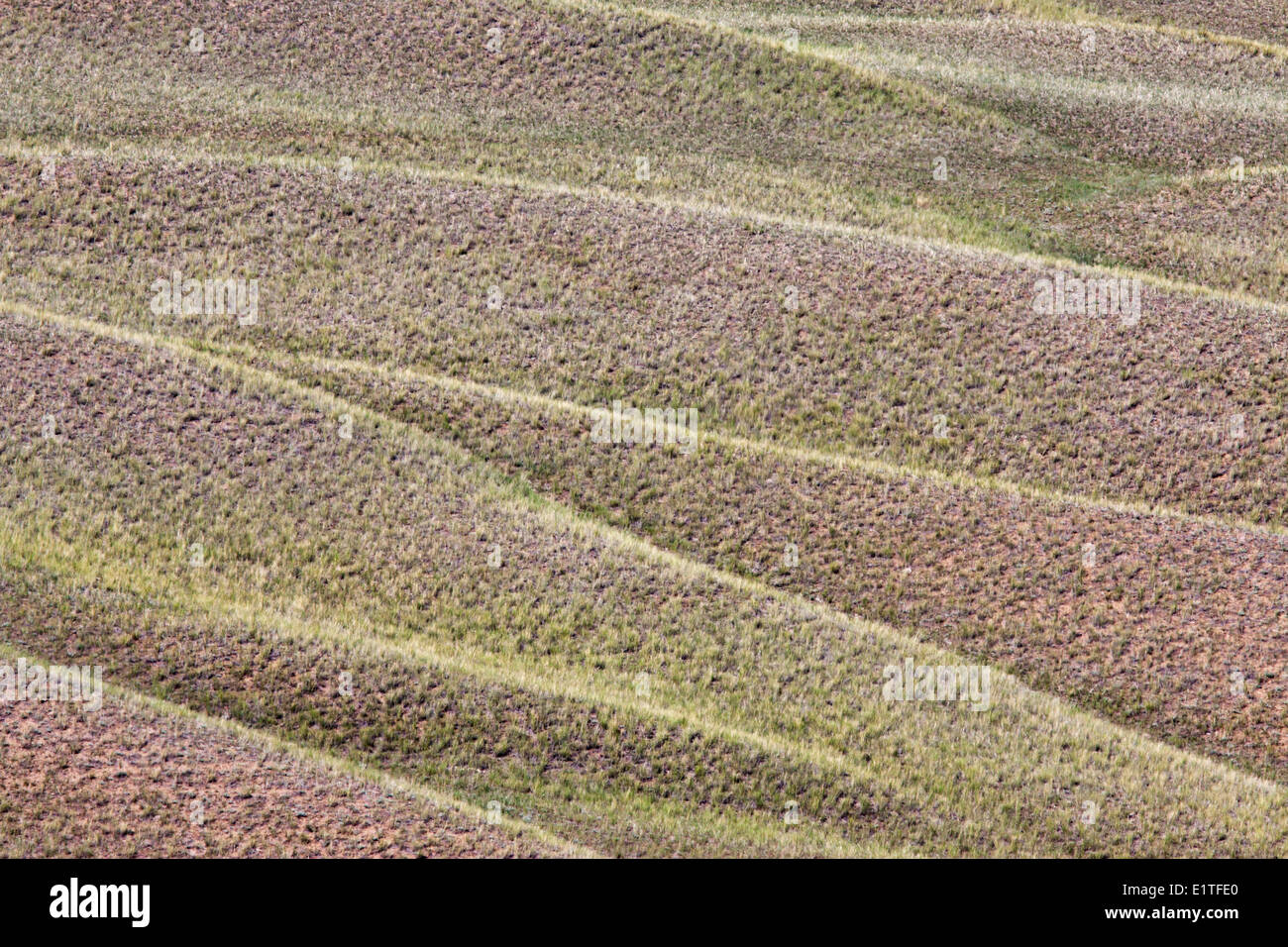 BC Grasslands in the Chilcotin Ark British Columbia Canada Stock Photo ...