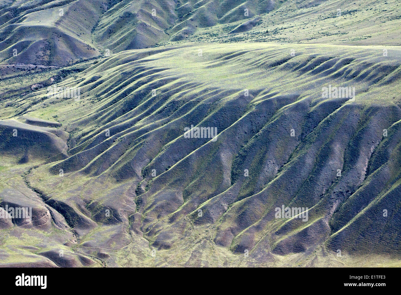 BC Grasslands in the Chilcotin Ark in British Columbia Canada Stock ...