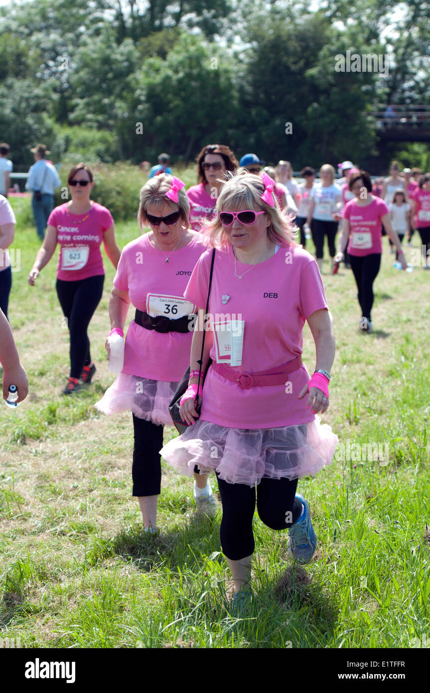 Race for Life, Cancer Research UK charity event Stock Photo - Alamy