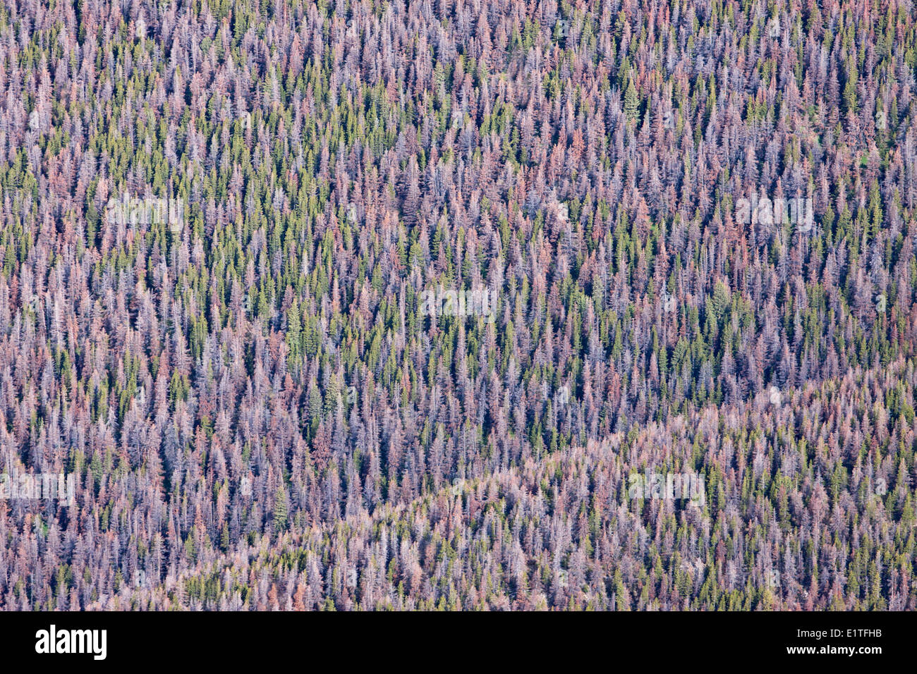 Aerial photography over the South Cariboo Chilcotin region of British ...