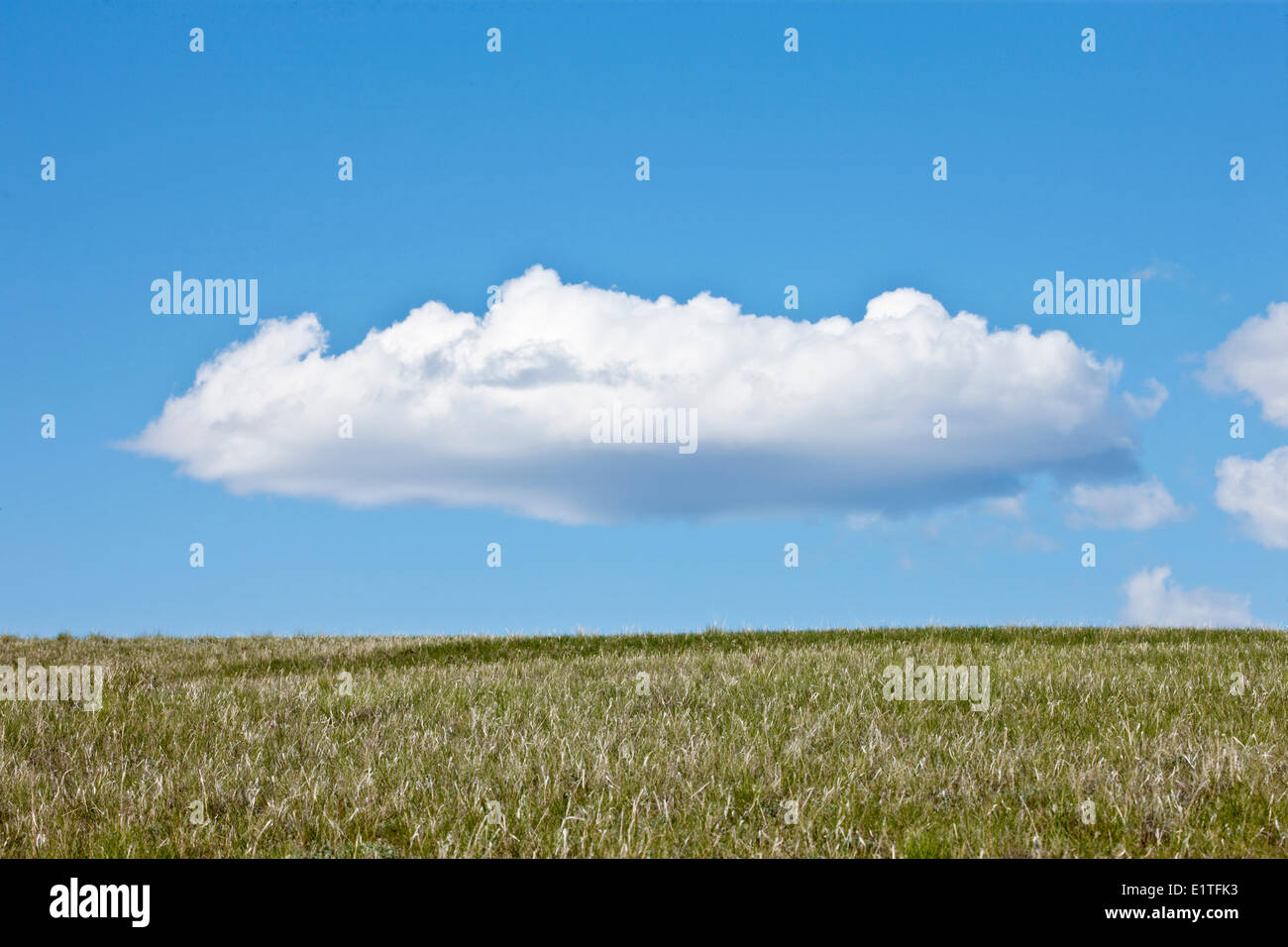 BC Grasslands in the Chilcotin Ark British Columbia Canada Stock Photo ...