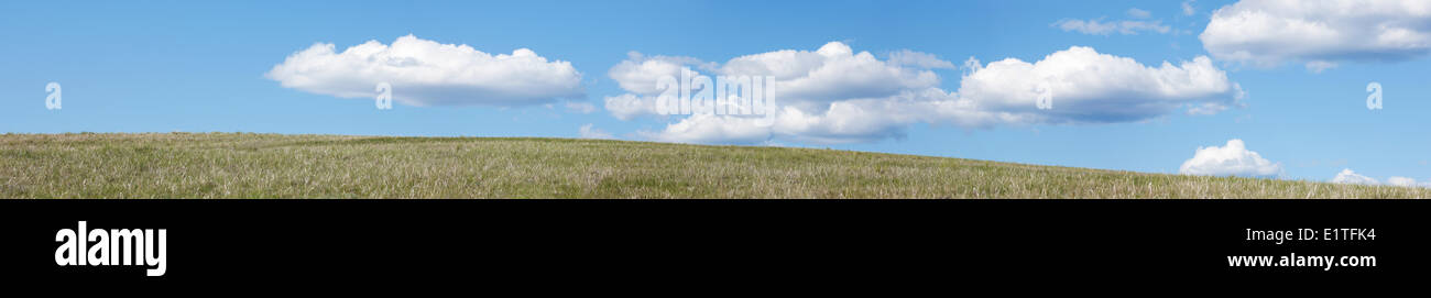BC Grasslands in the Chilcotin Ark British Columbia Canada Stock Photo ...
