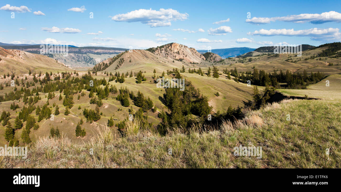 Arid grasslands hi-res stock photography and images - Alamy