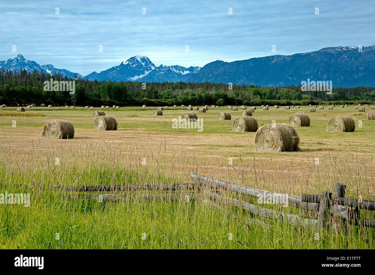 Hay field hi-res stock photography and images - Alamy