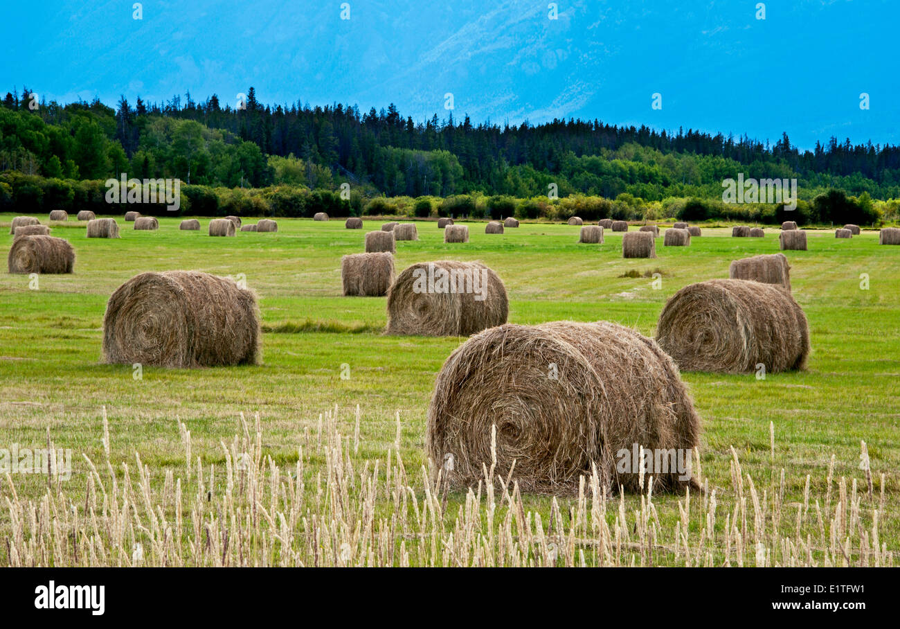 Ranchers hi-res stock photography and images - Alamy