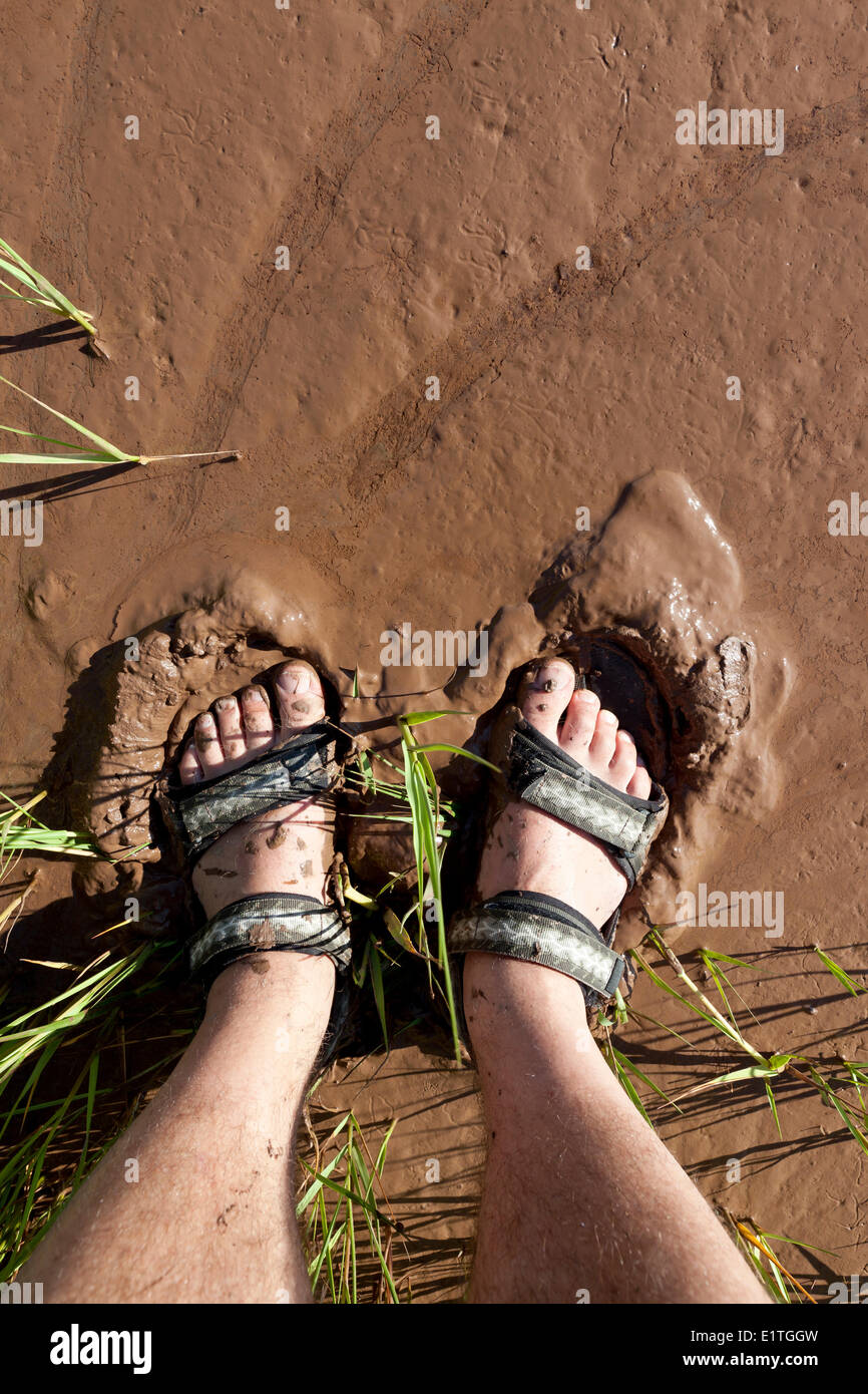 54 feet hi-res stock photography and images - Alamy